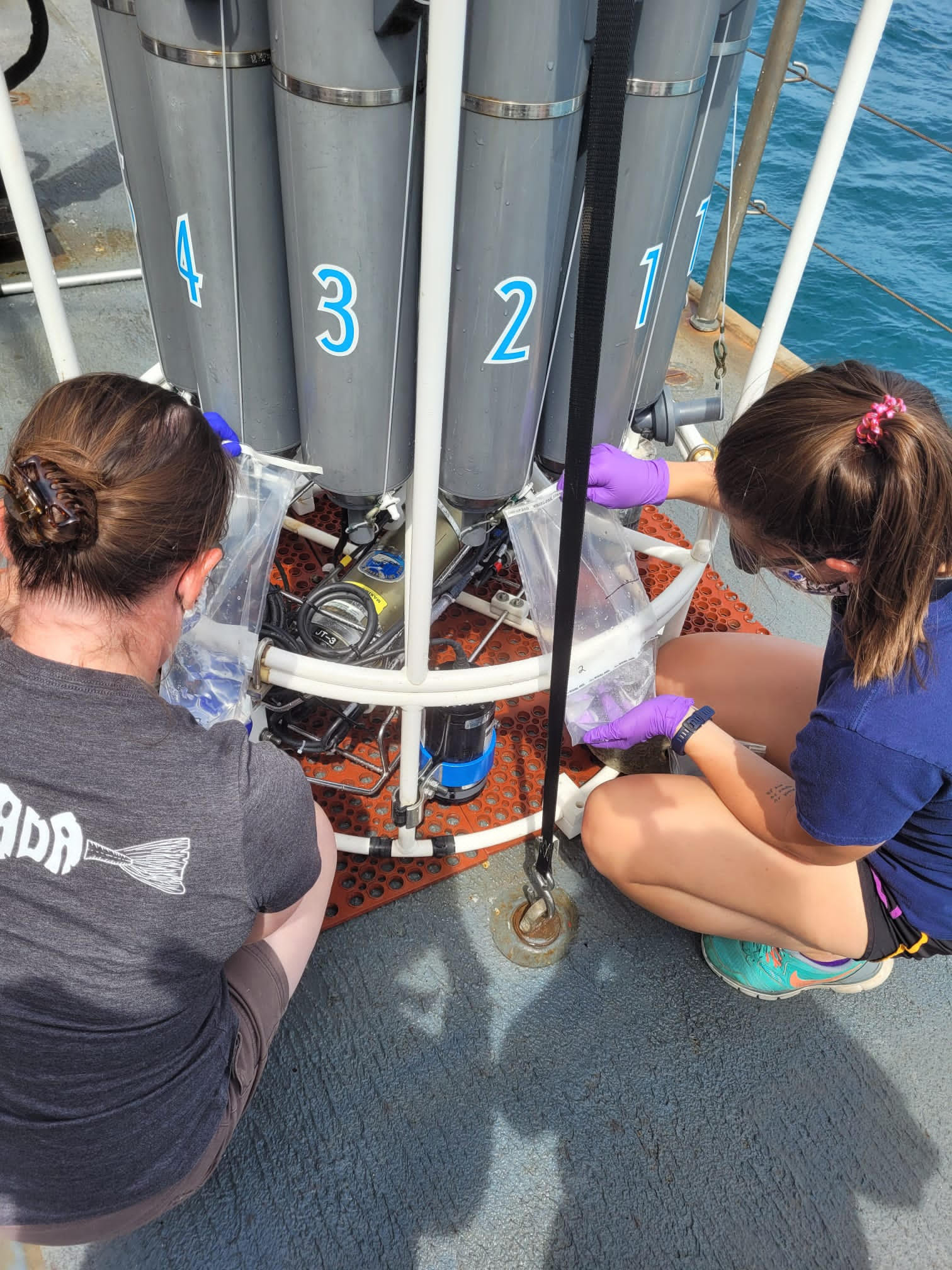 Gathering Samples - NOAA Ocean Exploration