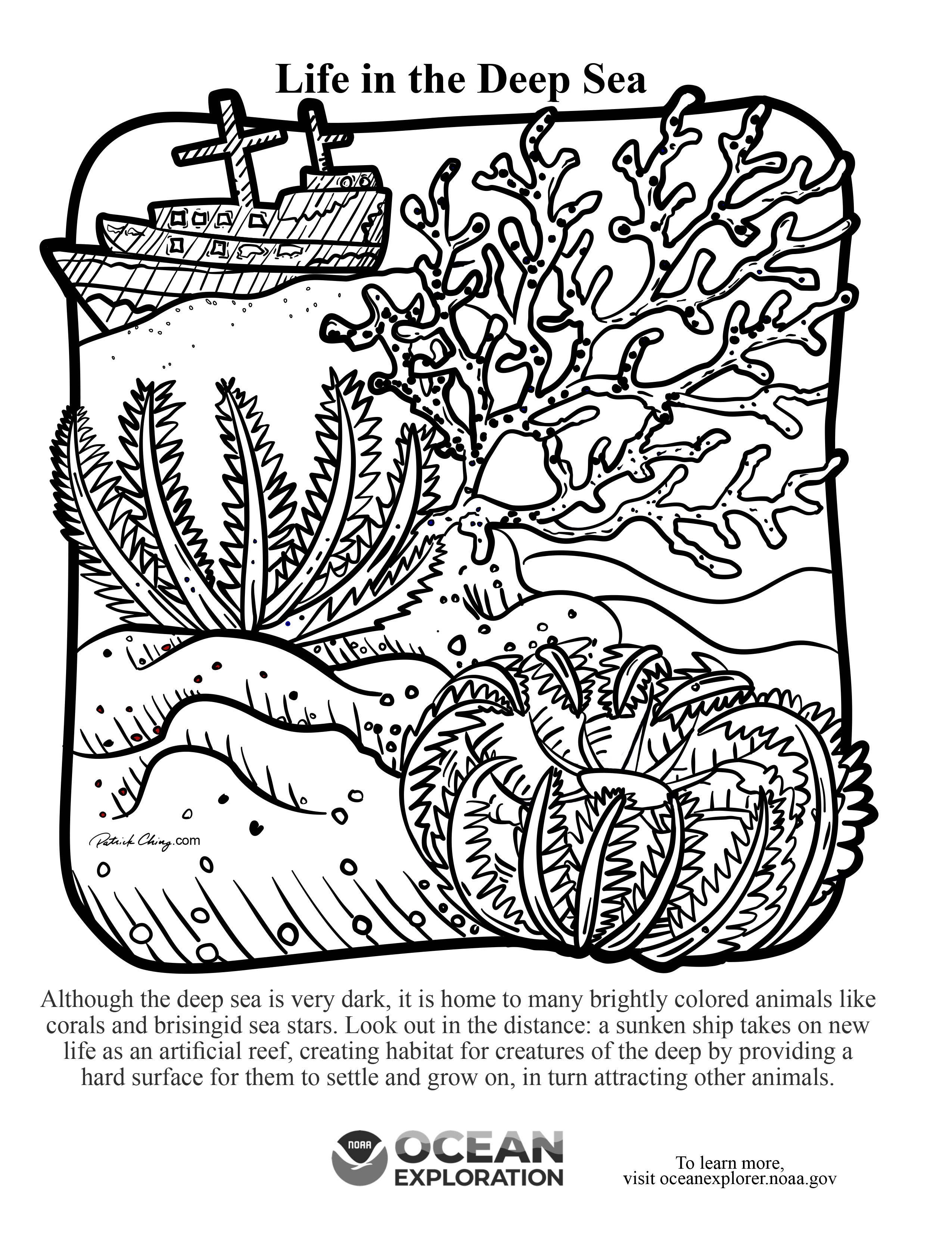 Ocean Art at Home: Color a Seascape or Learn to Draw a Deep-Sea ...