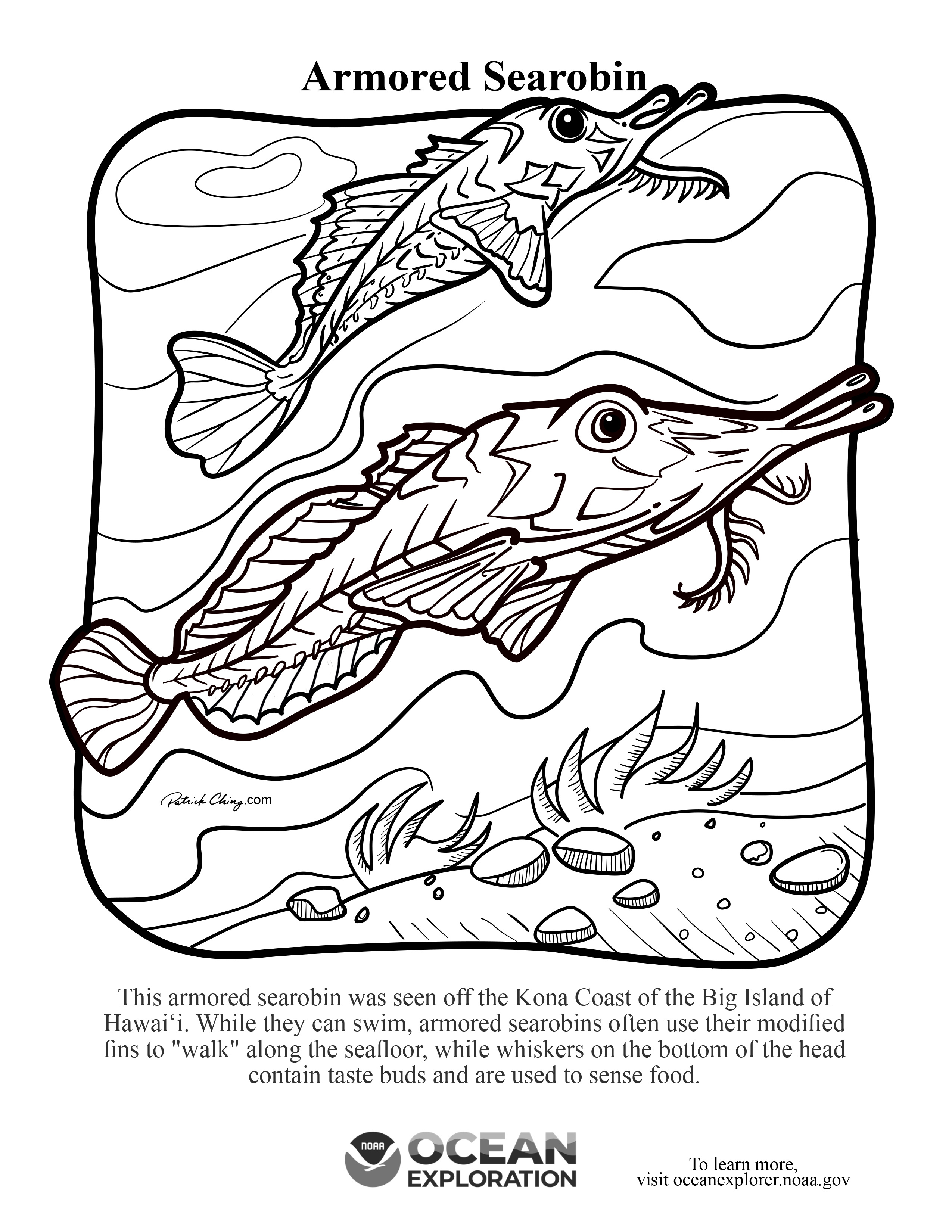 Ocean Art at Home: Color a Seascape or Learn to Draw a Deep-Sea ...